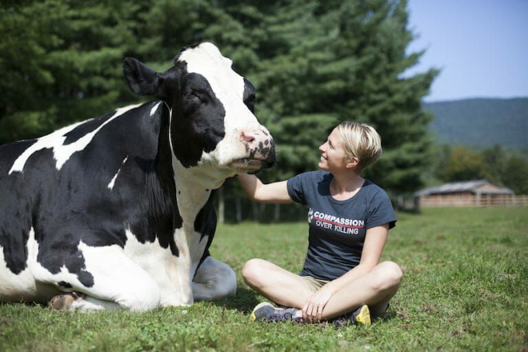 A Woman Director Speaks Out about Harassment in the Animal Rights Movement