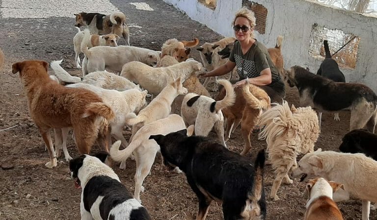 UPDATE: Tunisian Dog Rescue Still Saving Lives After Brutal Attack