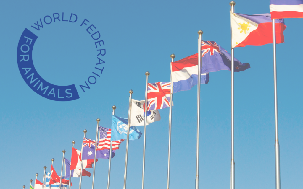 New Federation Will Give Animals A Voice At UN Forums