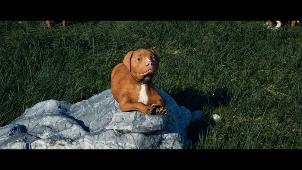 New Film ‘Chance’ Takes A Bold, Animated Look Into the Underground ...