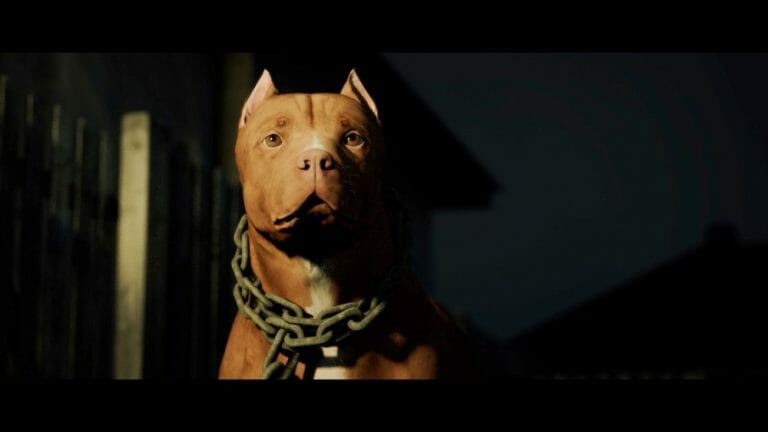 New Film ‘Chance’ Takes A Bold, Animated Look Into the Underground ...