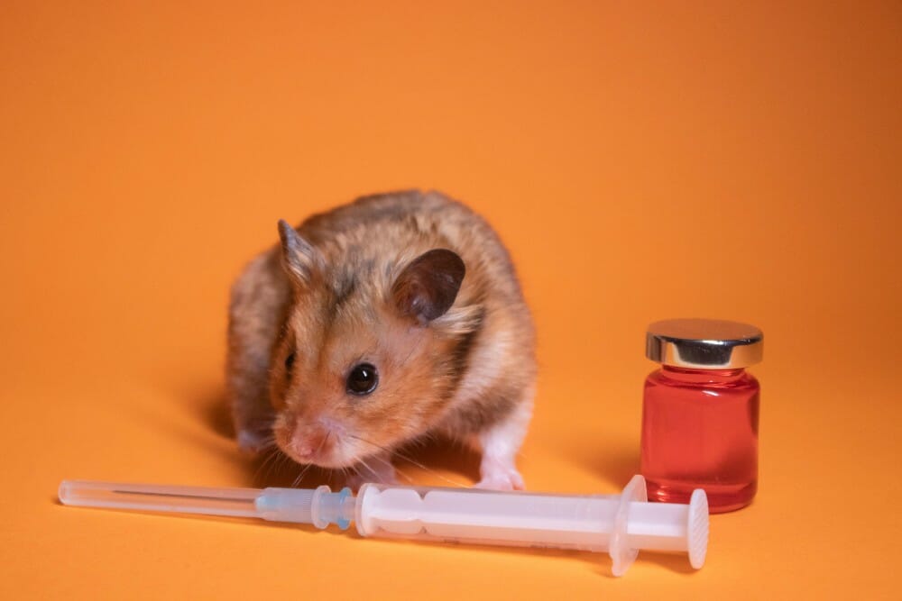 Lessons from COVID-19: Scientists Share 3 ‘Takeaway’ Messages About ...