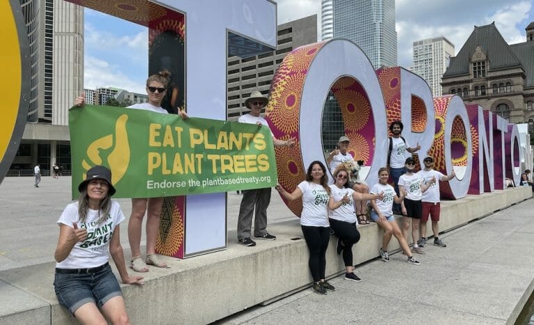 Activists Around the World Are Calling Out Our Food Systems for ...