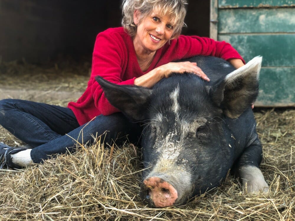 'Speaking Love' Has Sparked Joy, Discovery, and Healing for Catskill ...