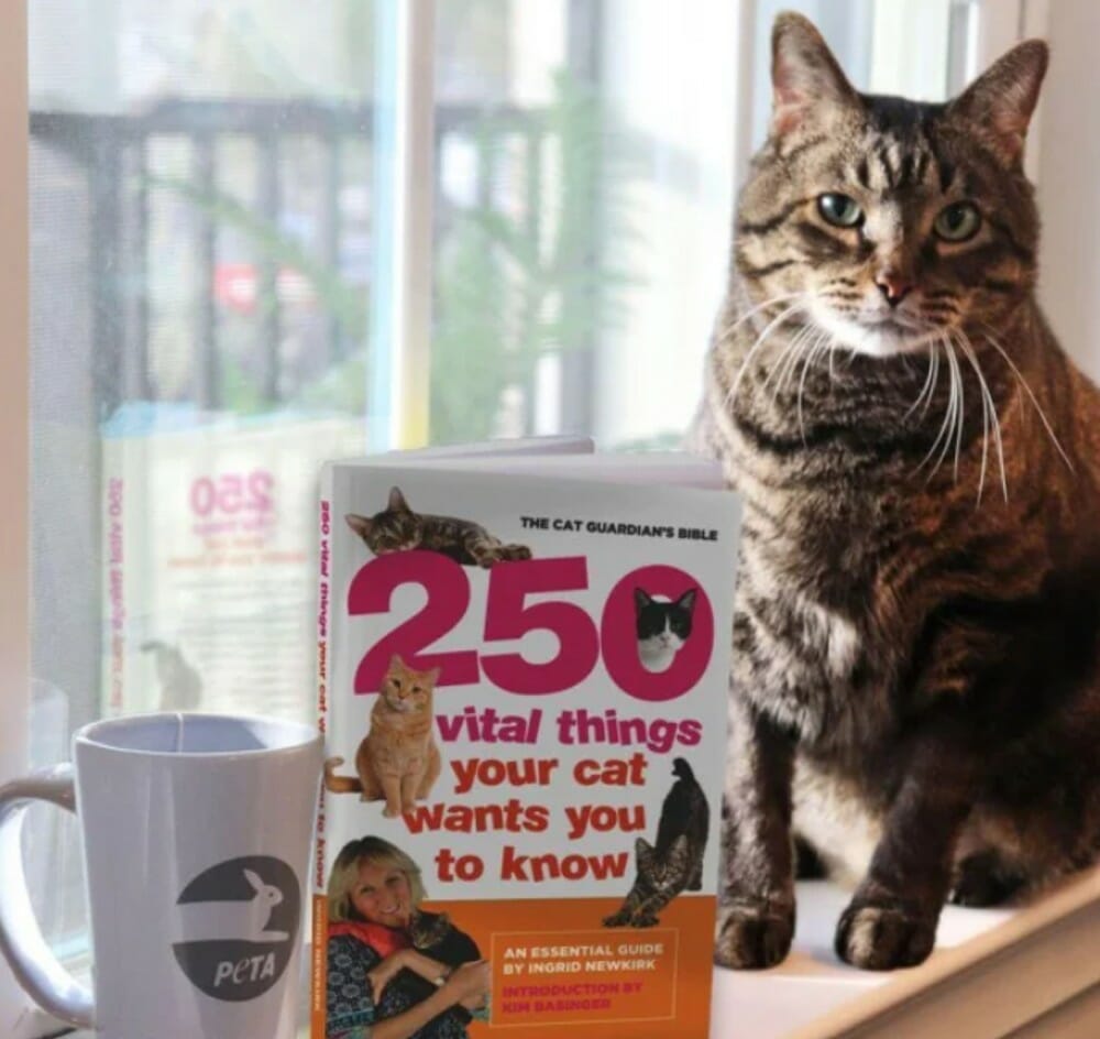 250 Vital Things Cat Lovers Need to Know Explored in Ingrid Newkirk's ...