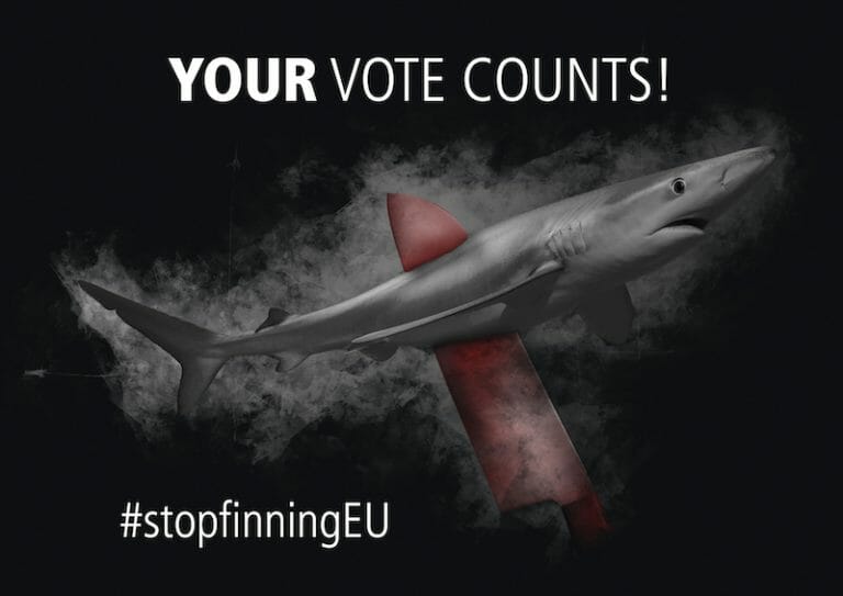 ‘Stop Finning-Stop the Trade’ Campaign Seeks to End Brutal Shark Fin ...
