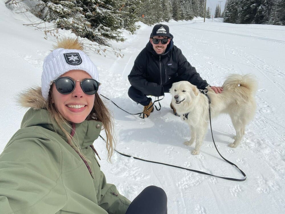 RESCUE UPDATE: Dogs Flown from China Are Thriving in Their Forever Homes