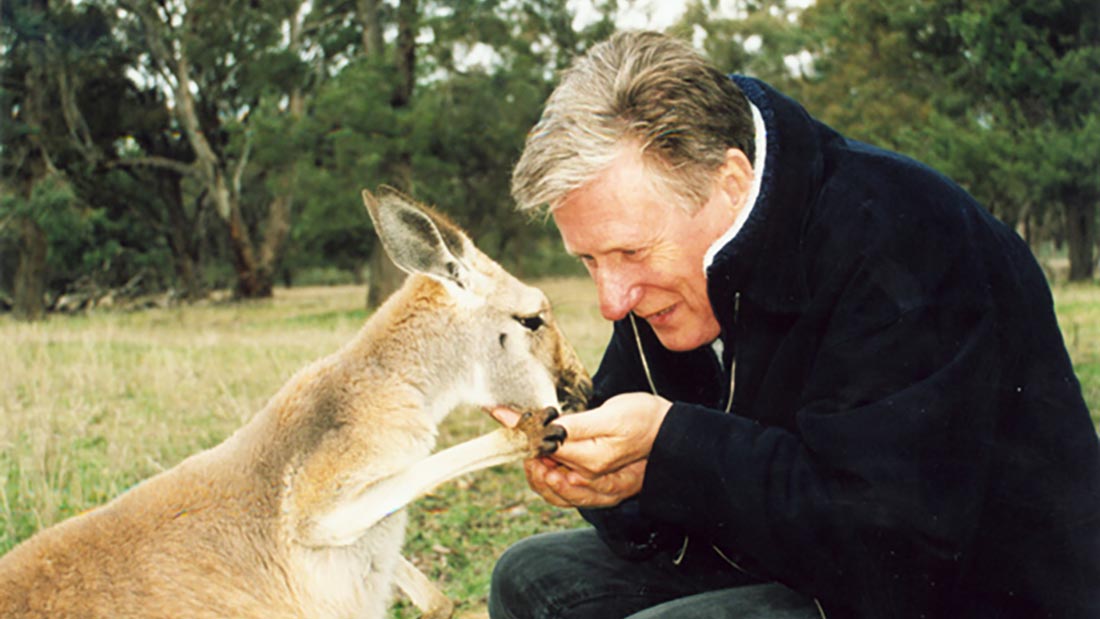 New Documentary Reveals Horror at UK Pig Farms