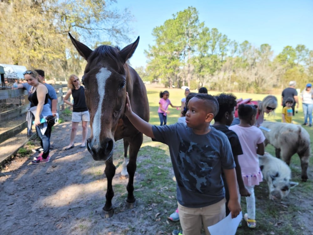 Lady Freethinker Awards $4,700 to Animal Sanctuary Teaching Children ...