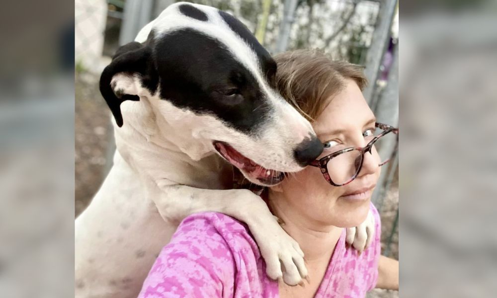 Angel's Story: From Horrific Abuse to Healing At Animal Rescue
