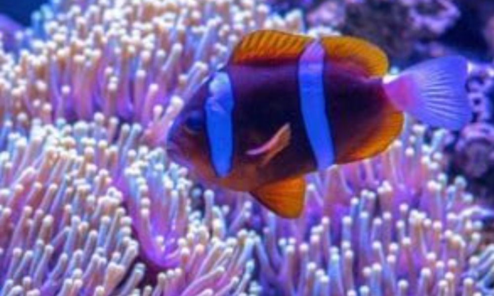 Hidden Harm: 14 Products You May Use That Hurt Animals and the Planet