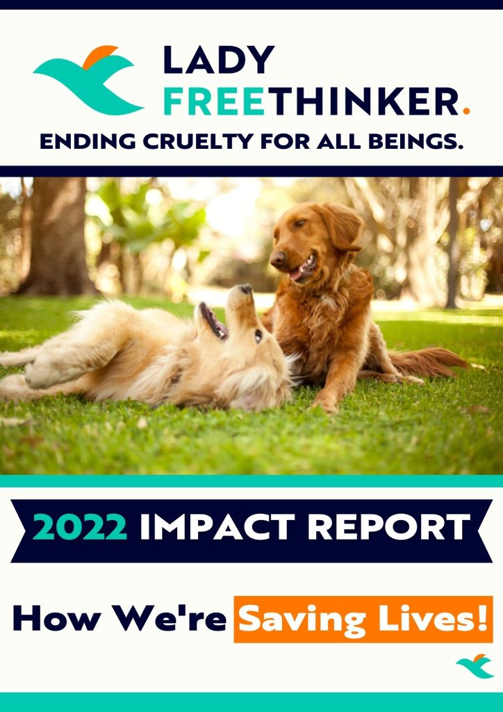 Lady Freethinker's 2022 Impact Report