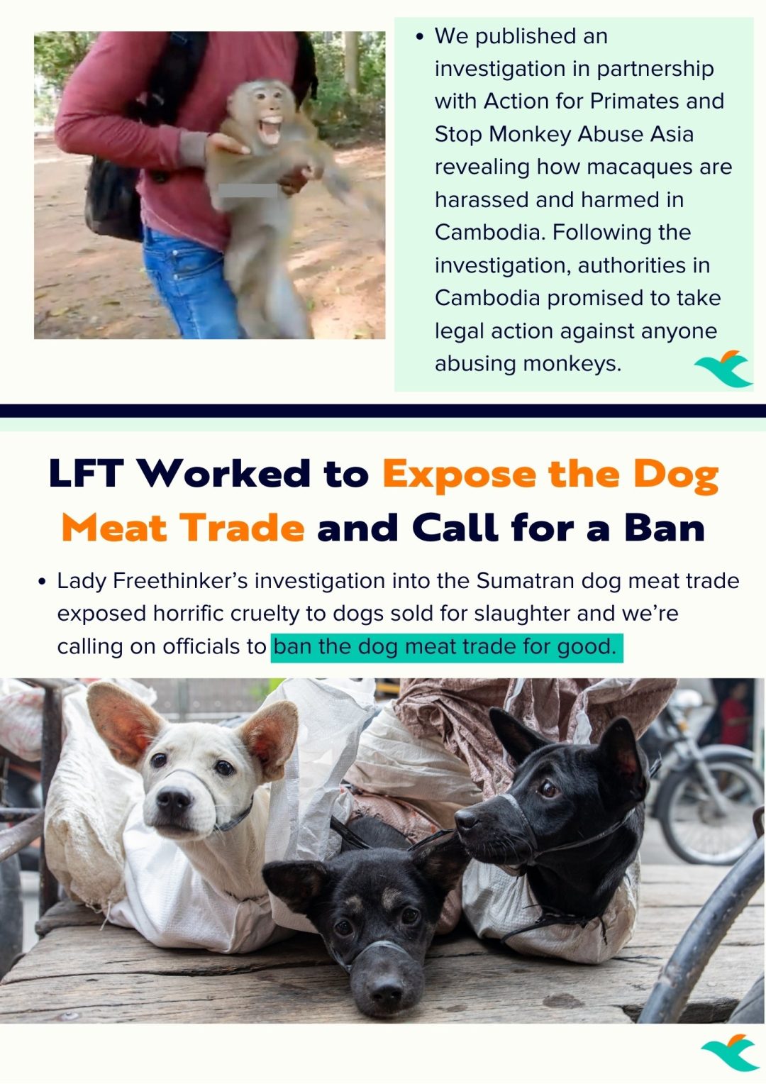 Lady Freethinker's 2022 Impact Report