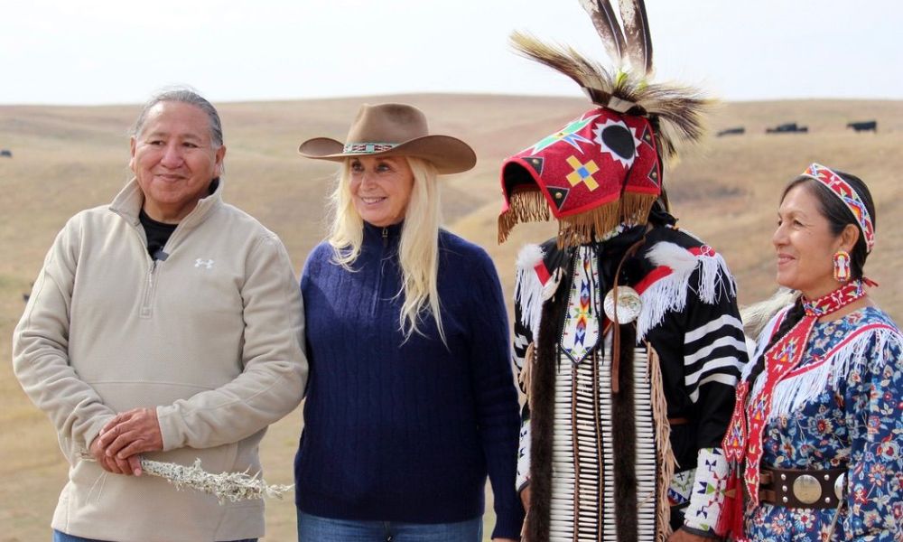 A Q+A with CANA Foundation: The Importance of Wild Horses