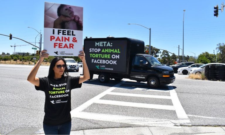 Lady Freethinker Protests Animal Torture on Facebook in Global Day of ...