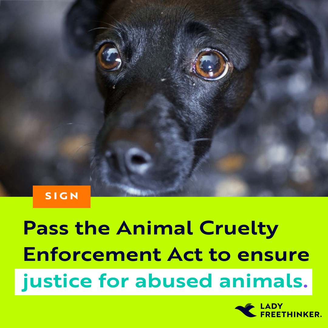 SIGN: Pass the Animal Cruelty Enforcement Act to Ensure Justice for ...