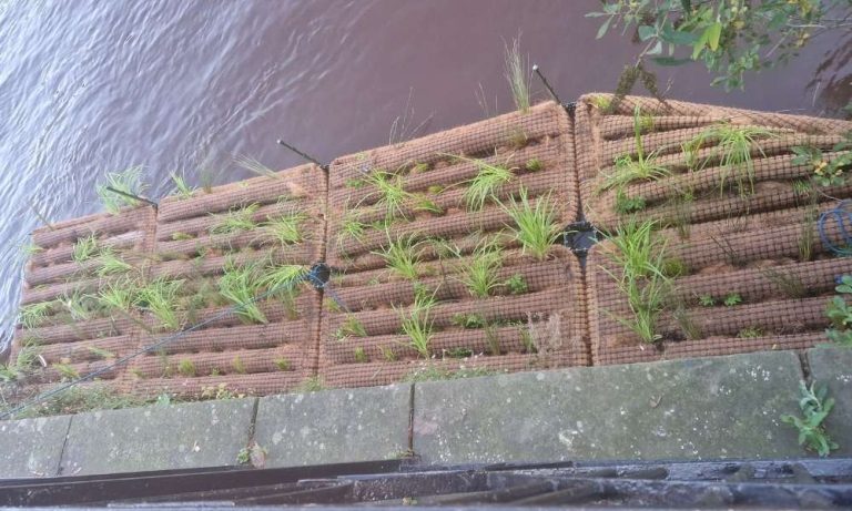 New 'Floating Ecosystem' on U.K. River Supports Native Plants ...