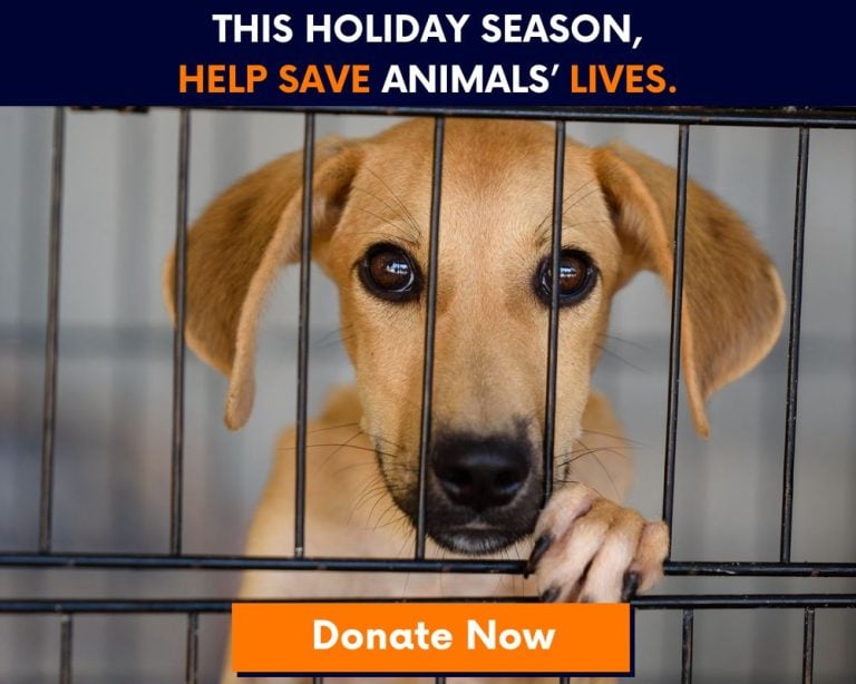 Contact Lady Freethinker