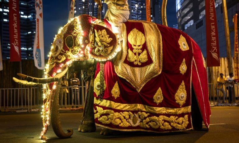 SIGN: End Cruel Elephant Chaining in Sri Lanka's Festivals & Tourism